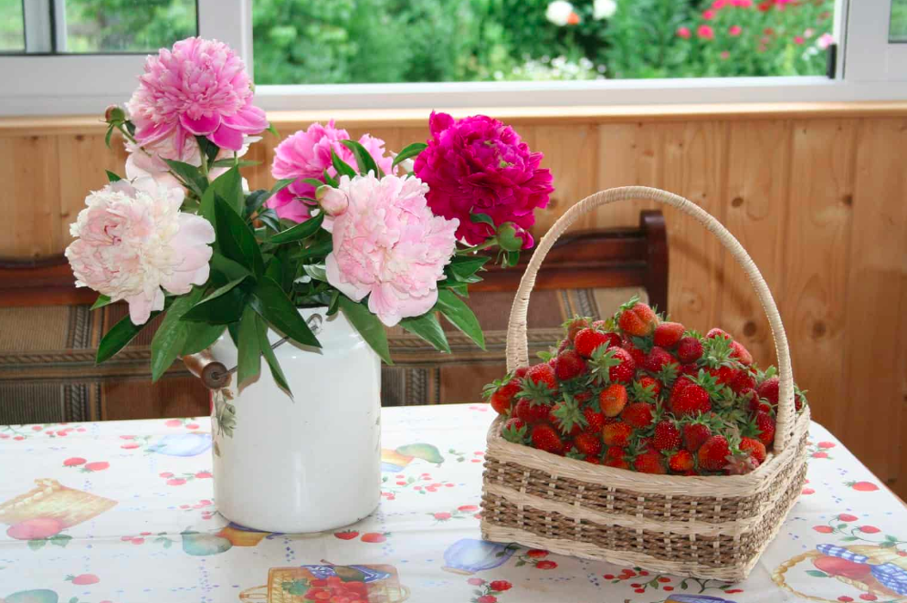 Summer in Poland: weather in June, July & August - British Poles