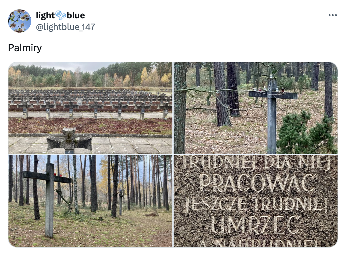 Palmiry massacre - a German crime against the Polish elite - British Poles