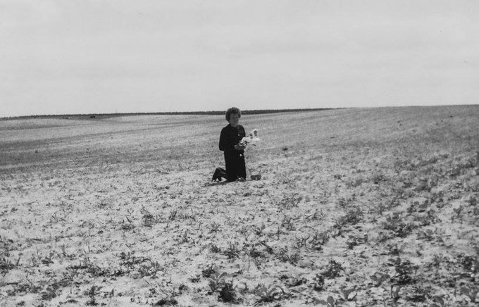 Most Poles believe Ukraine must allow Volhynia Massacre victims ...