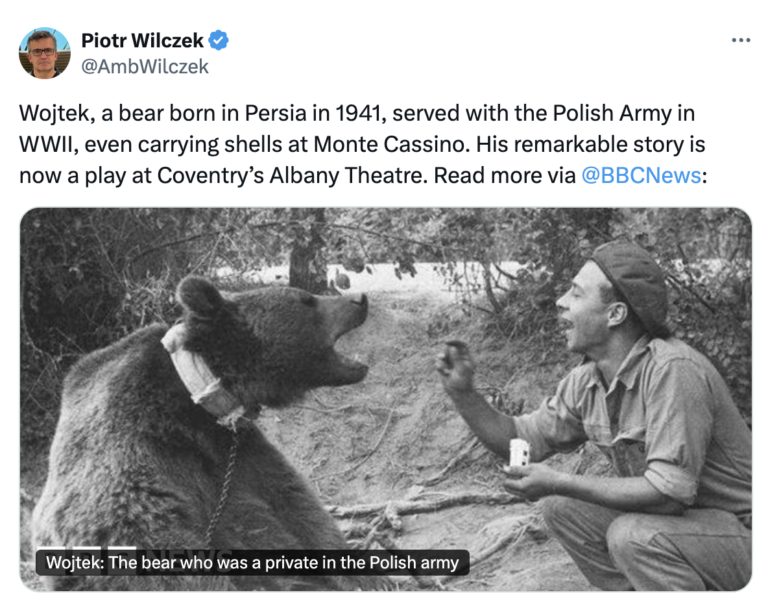 The fascinating story of Polish Bear Soldier Wojtek - British Poles