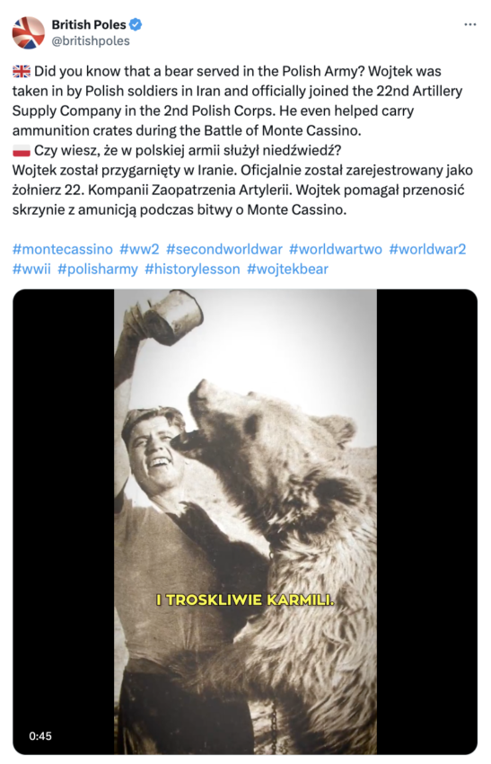 The fascinating story of Polish Bear Soldier Wojtek - British Poles