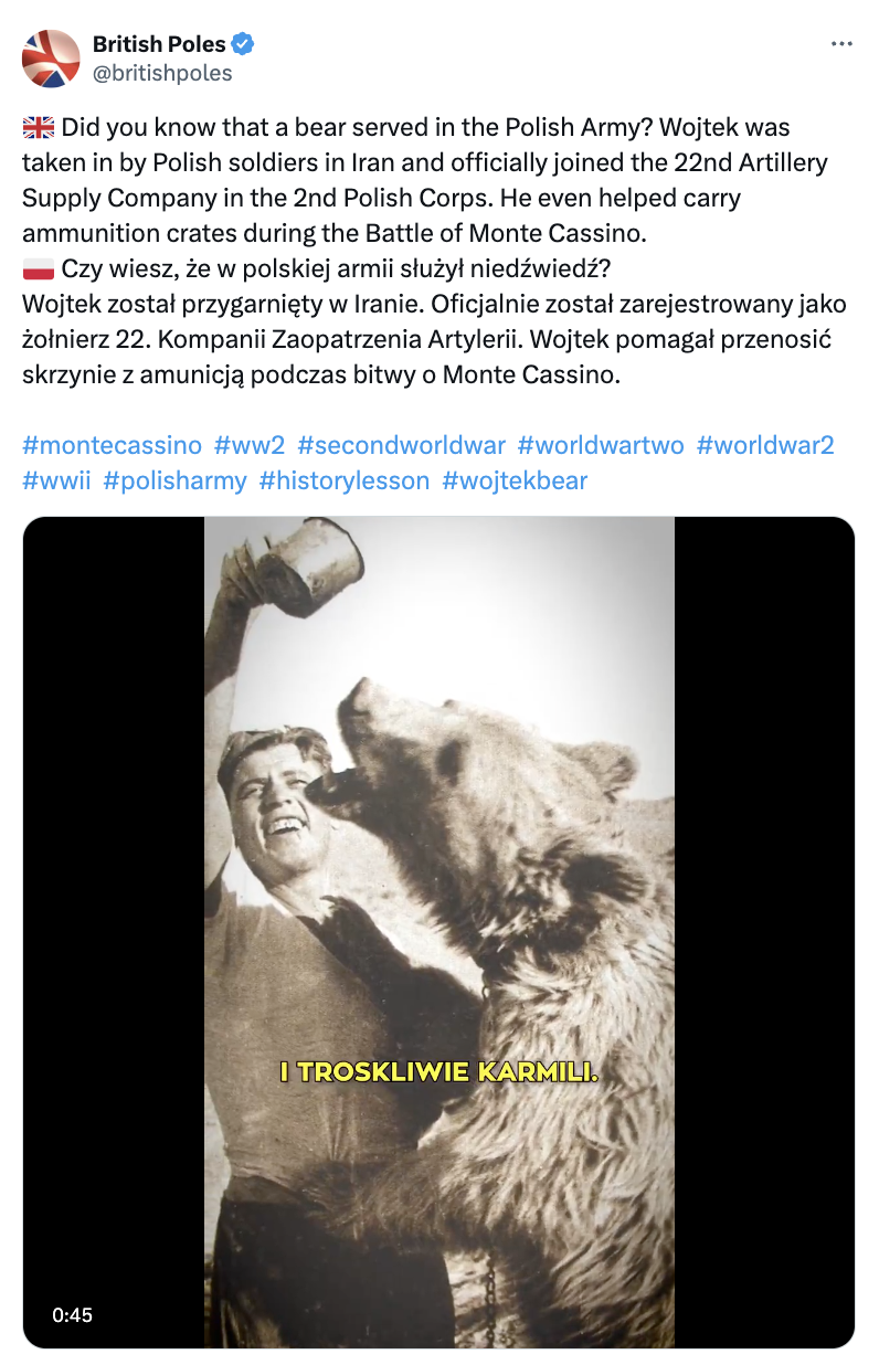 The fascinating story of Polish Bear Soldier Wojtek - British Poles