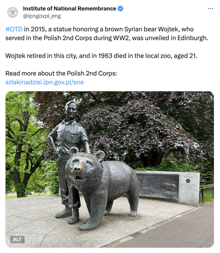 The fascinating story of Polish Bear Soldier Wojtek - British Poles