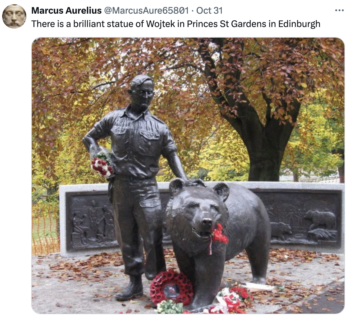 The fascinating story of Polish Bear Soldier Wojtek - British Poles