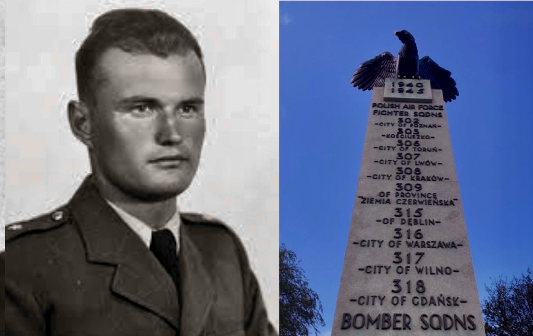 The fascinating story of Polish Bear Soldier Wojtek - British Poles
