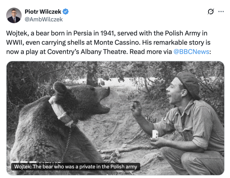 The story of Wojtek the Bear – A corporal in the Polish Army - British ...