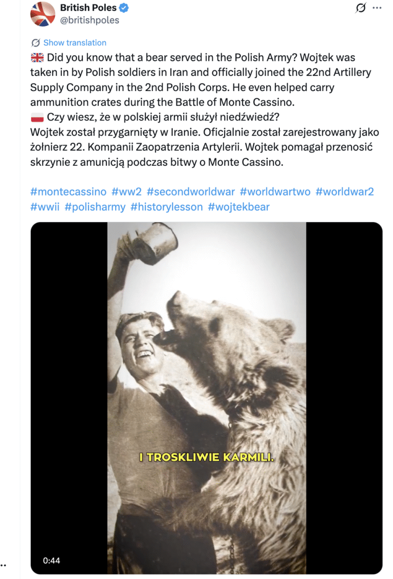 The story of Wojtek the Bear – A corporal in the Polish Army - British ...