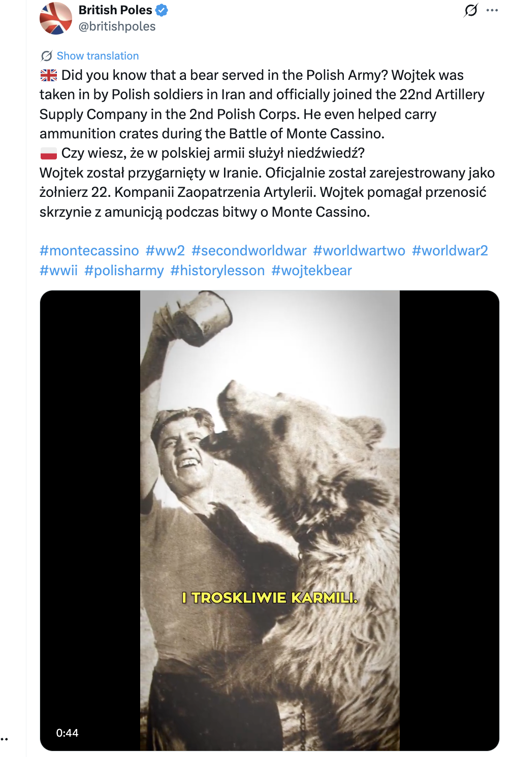 The story of Wojtek the Bear – A corporal in the Polish Army - British ...